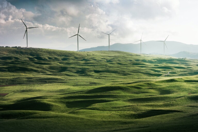 Top 10 Wind Energy Companies in the US for 2024