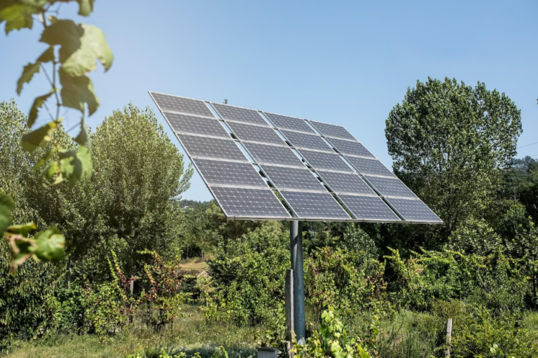 A Guide to Ground-Mounted Solar Panels - Green Energy Hub