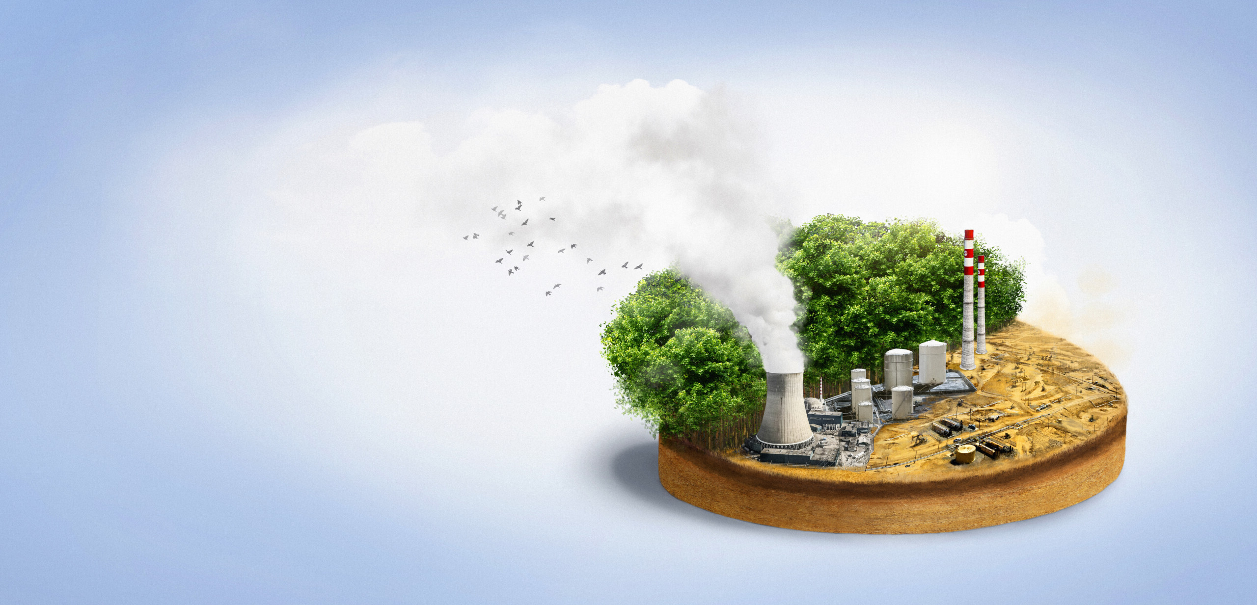 Advantages and Disadvantages of Biomass Energy