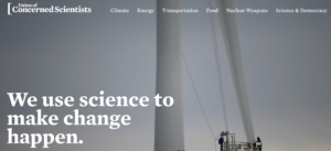 15 Trusted Climate Projects to Support in 2024 - Green Energy Hub
