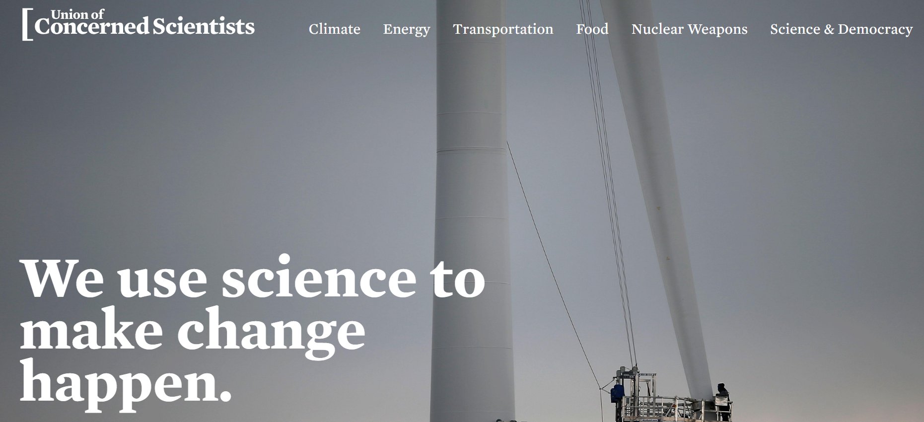 15 Trusted Climate Projects to Support in 2024 - Green Energy Hub