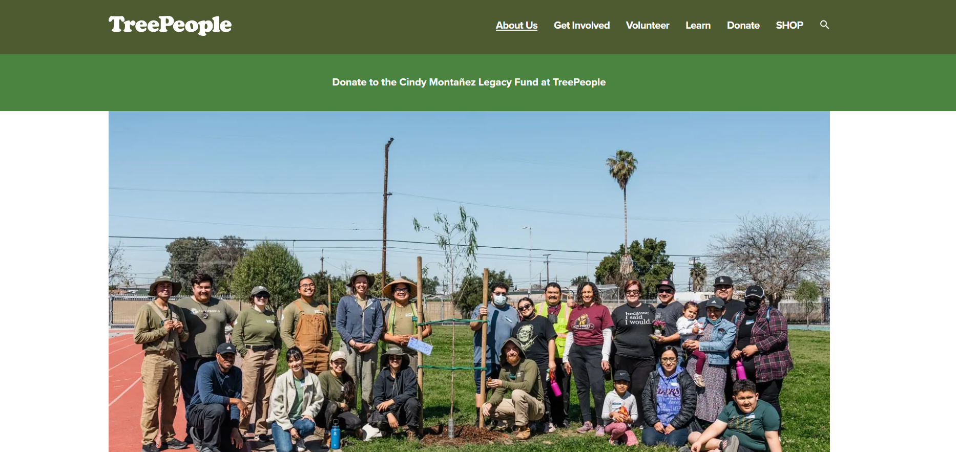 The Top 10 Reforestation Organizations Making a Difference in the USA ...