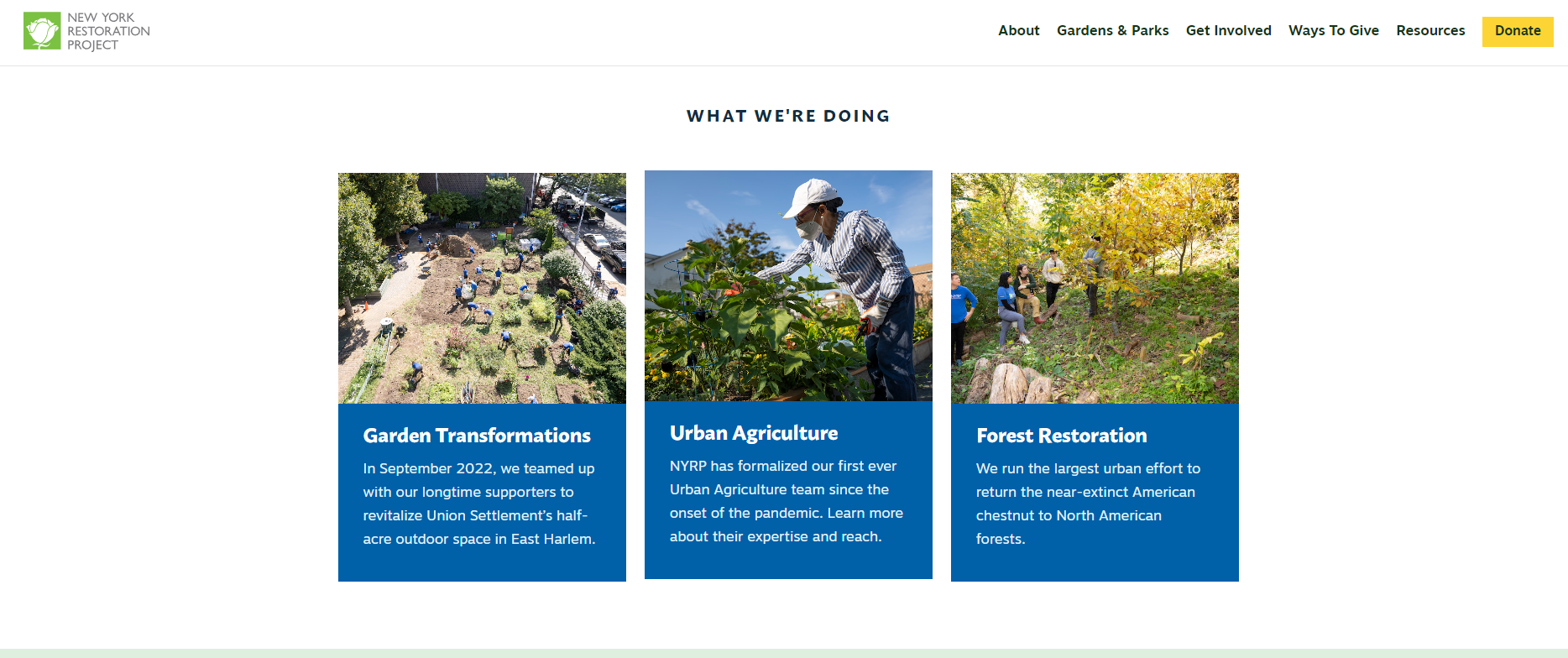 The Top 10 Reforestation Organizations Making a Difference in the USA ...