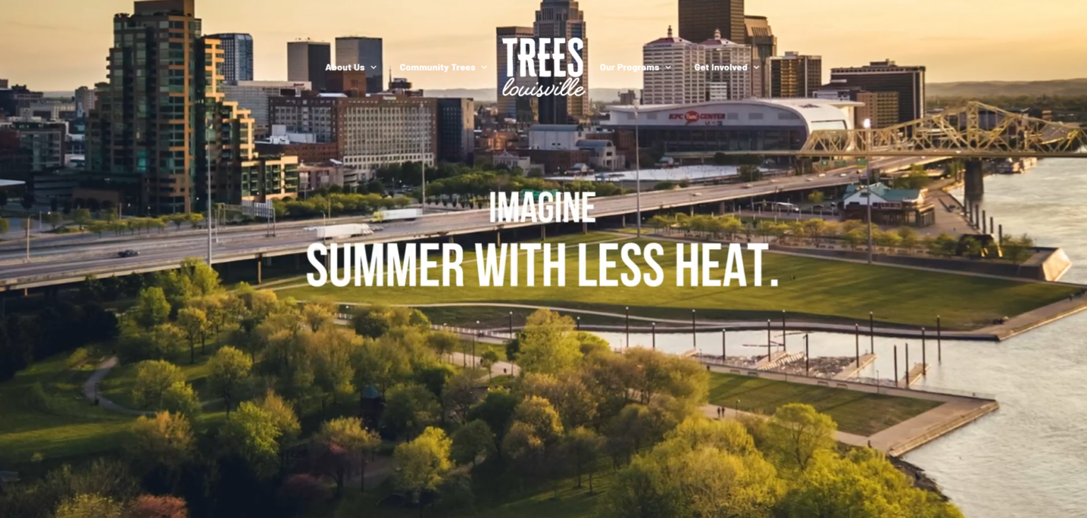 The Top 10 Reforestation Organizations Making a Difference in the USA ...