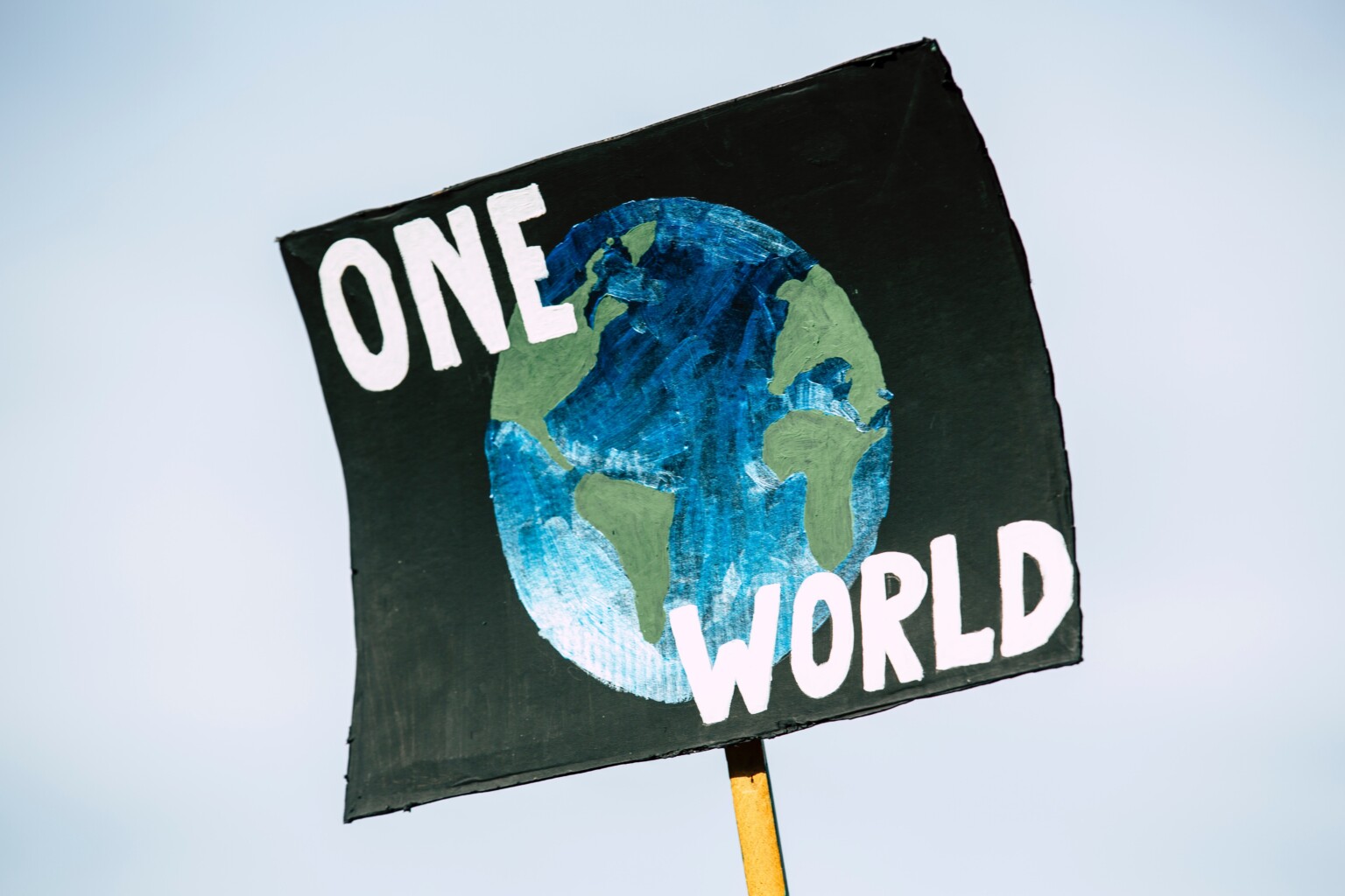 15 Trusted Climate Projects to Support in 2024 - Green Energy Hub
