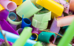 12 Statistics Unveiling the True Cost of Single-Use Products - Green ...