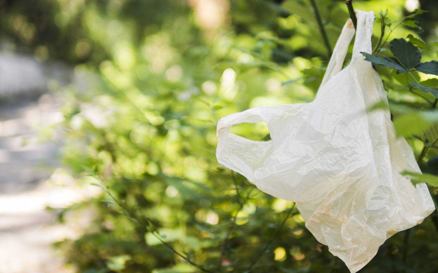 12 Statistics Unveiling the True Cost of Single-Use Products - Green ...